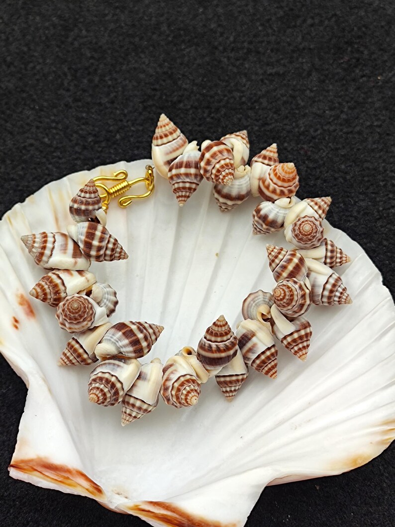 Natural Sea Shell Bracelet, Beach Jewelry Gift (8") - Etsy