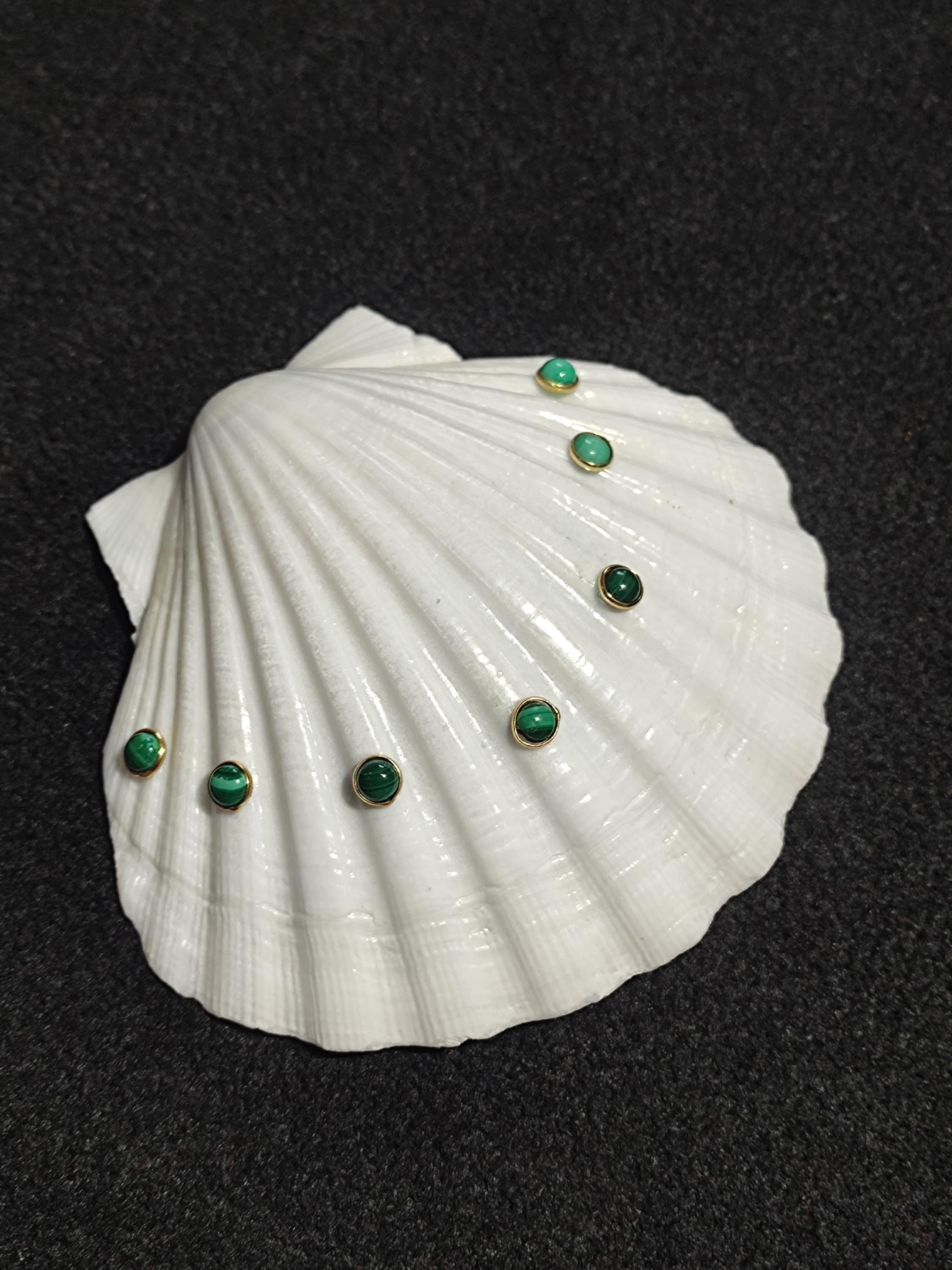 Extra Large Scallop Seashell, Irish Baking Shell, Decor & Crafts - Etsy