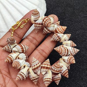 Natural Sea Shell Bracelet, Beach Jewelry Gift (8") - Etsy