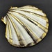Real Scallop Seashell 18k Gold Fill Electroplated Pendant Irish Baking ...
