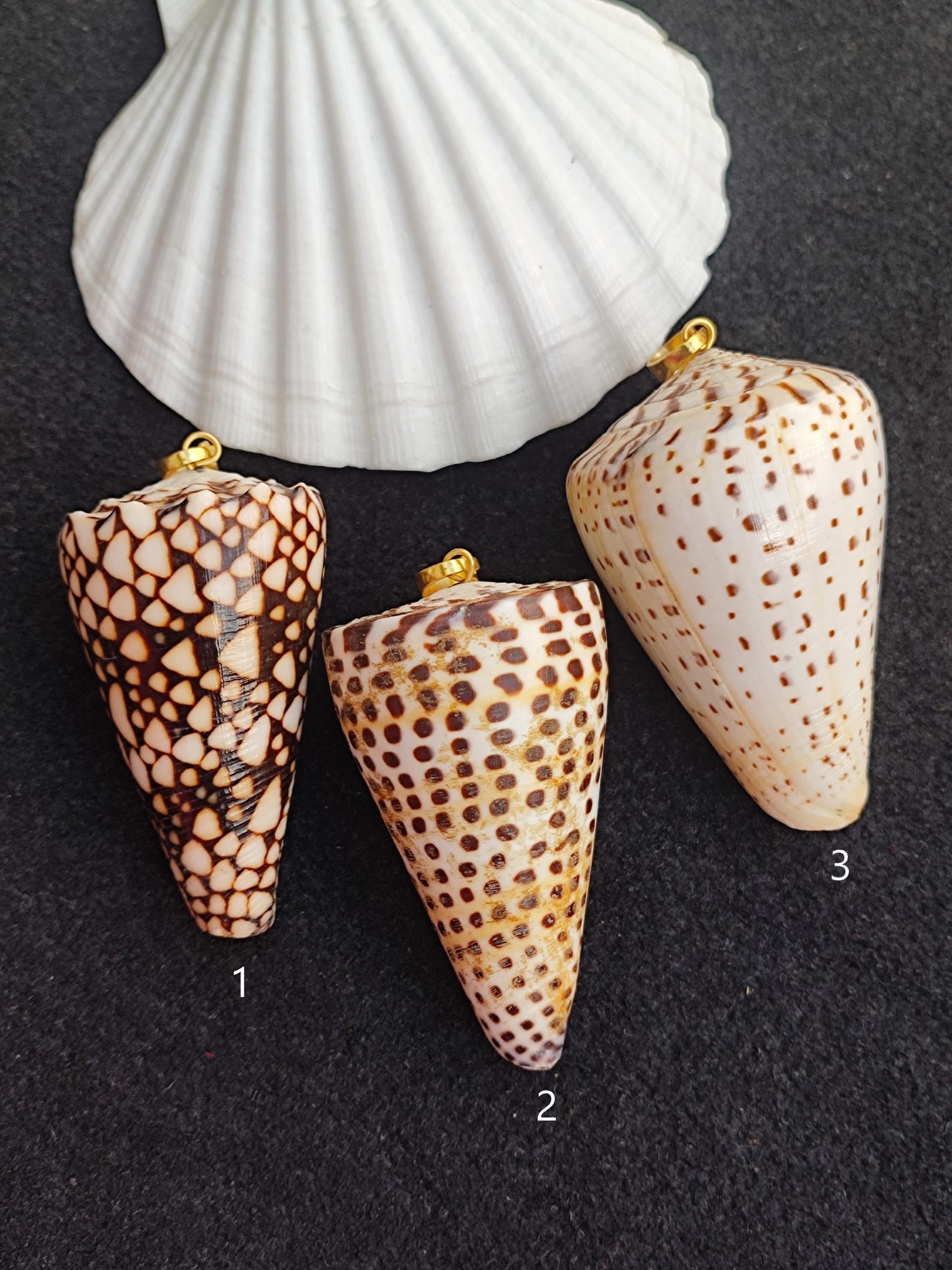Conus Betulinus Sea Shell Pendant, Natural Leopard Print Seashell Charm ...
