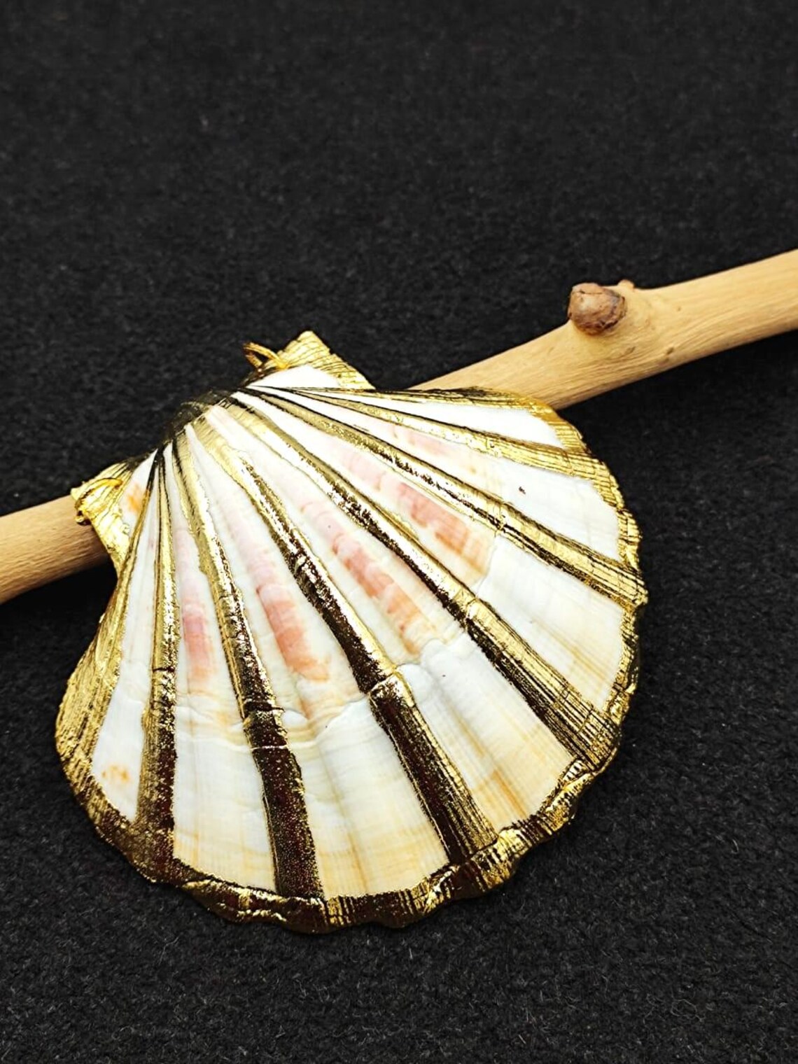 Real Scallop Seashell 18k Gold Fill Electroplated Pendant Irish Baking ...