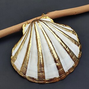 Real Scallop Seashell 18k Gold Fill Electroplated Pendant Irish Baking ...