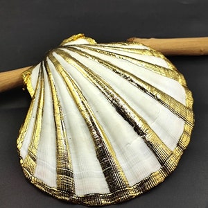 Real Scallop Seashell 18k Gold Fill Electroplated Pendant Irish Baking ...