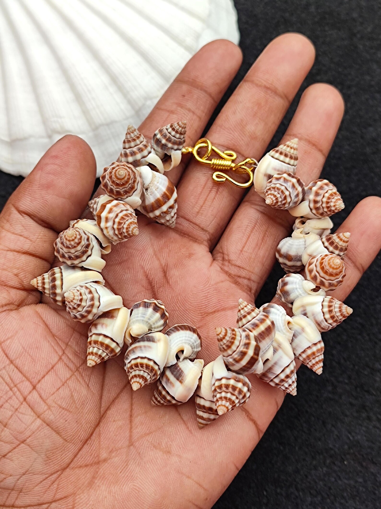Natural Sea Shell Bracelet, Beach Jewelry Gift (8") - Etsy