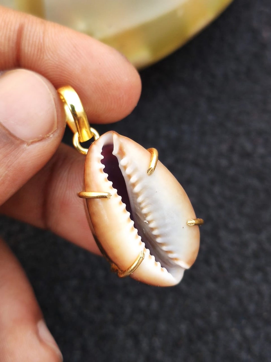 Real Cowries Shell Pendant Natural Money Cowrie Shell Gold Plated ...