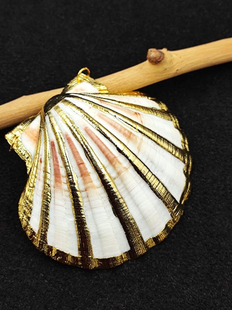 Real Scallop Seashell 18k Gold Fill Electroplated Pendant Irish Baking ...