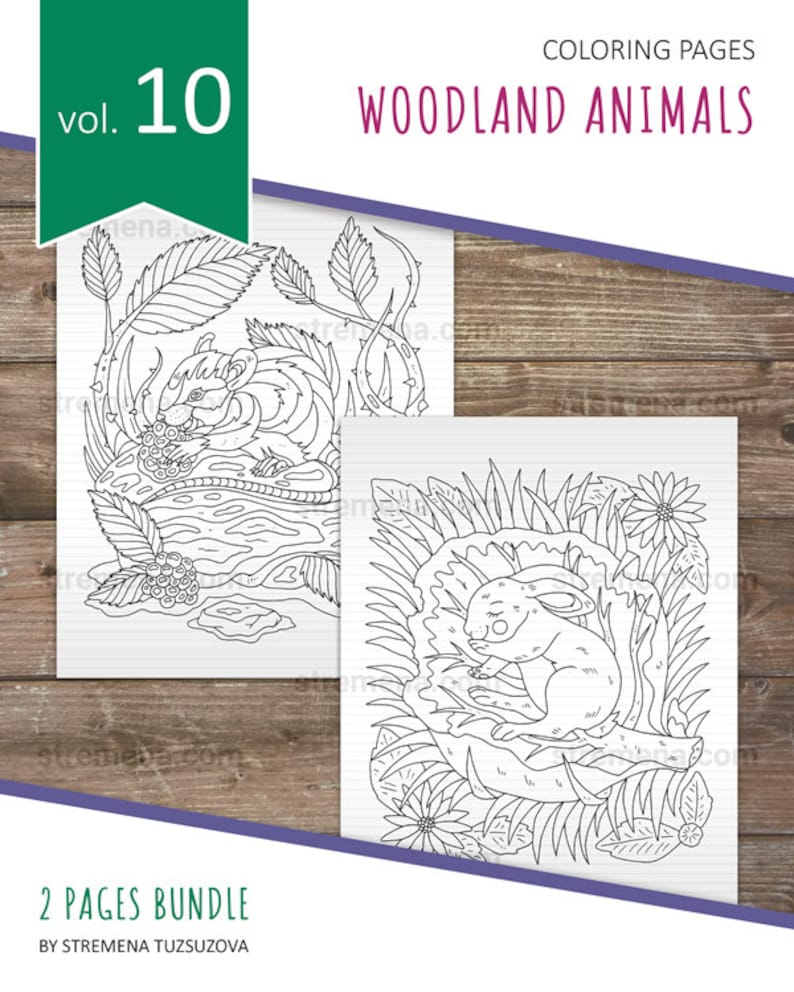 Cute Little Woodland Animals Printable Coloring Pages PDF - Etsy