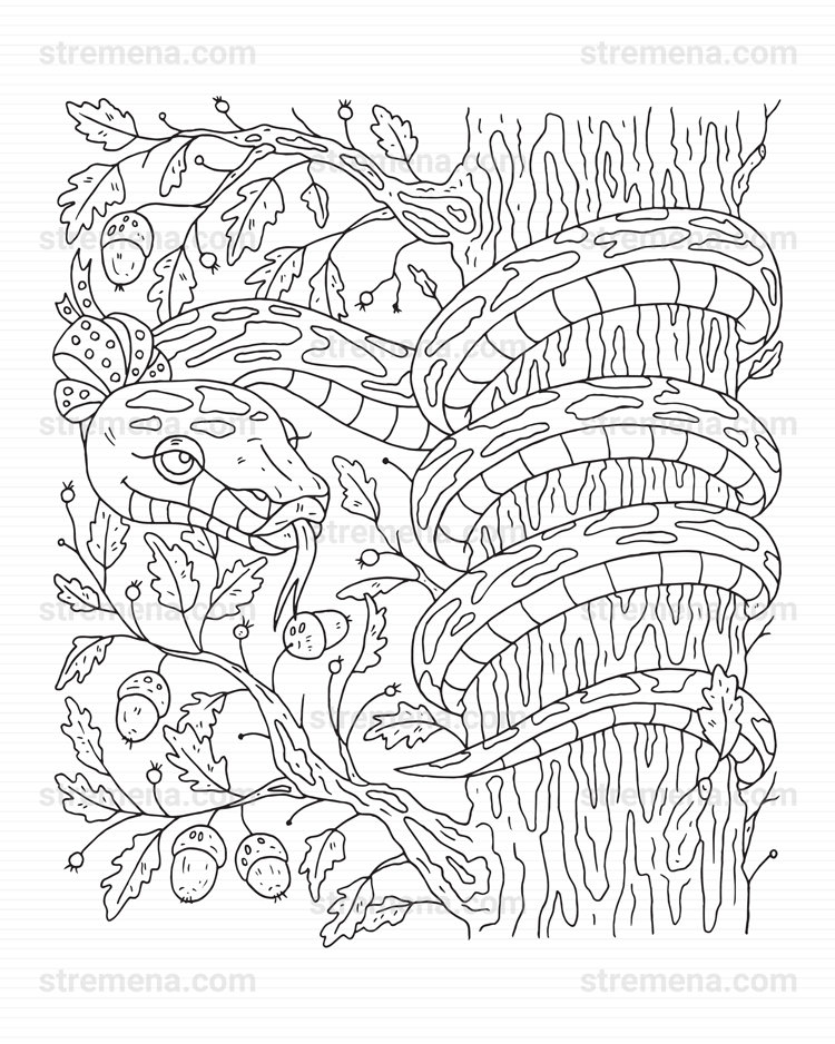 Coloring Book PDF: the Secret Life of Forest Animals - Etsy