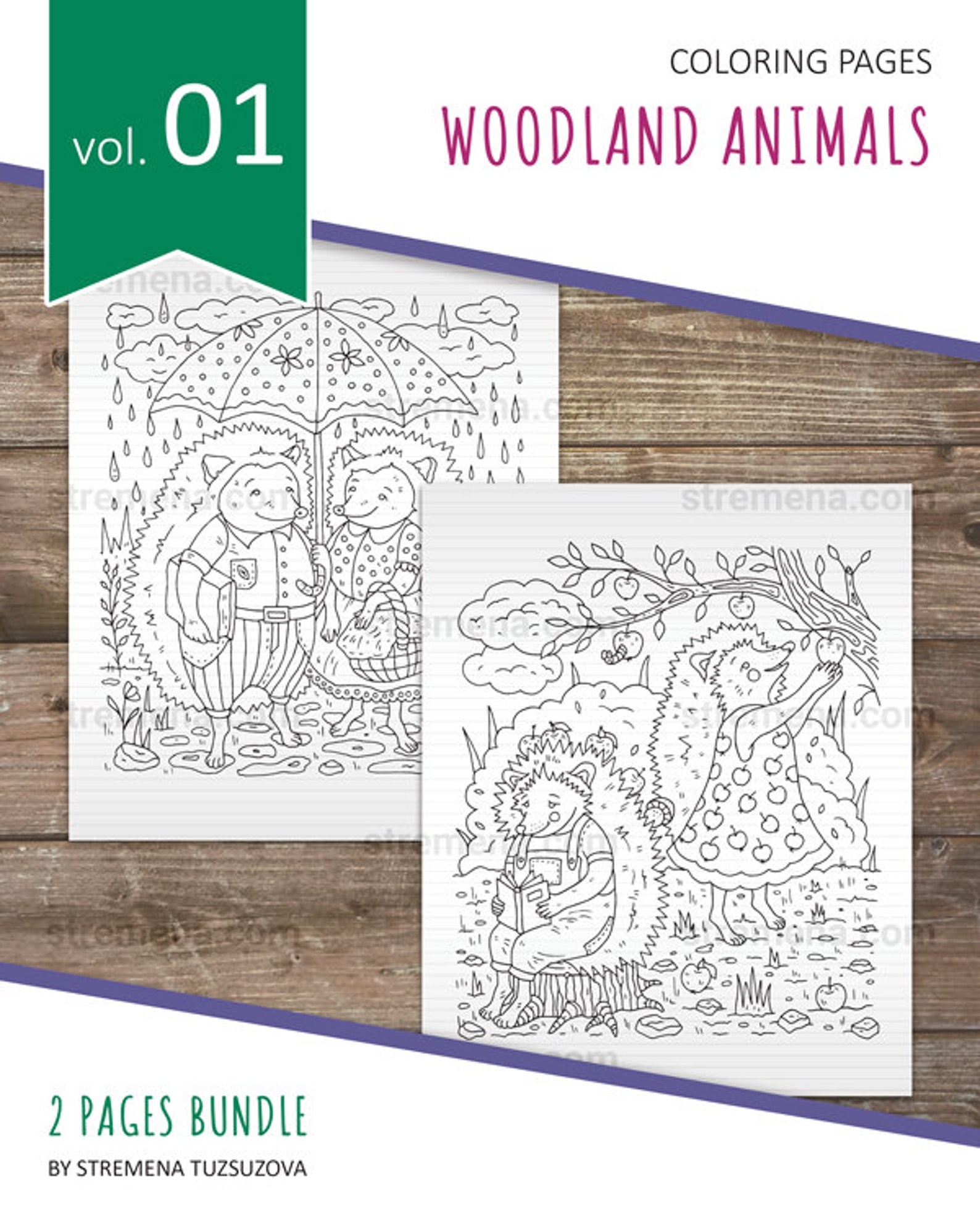 Woodland Hedgehogs Valentine's Printable Coloring Pages - Etsy