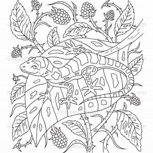 Reptiles Printable Coloring Pages: Snake and Lizard - Etsy