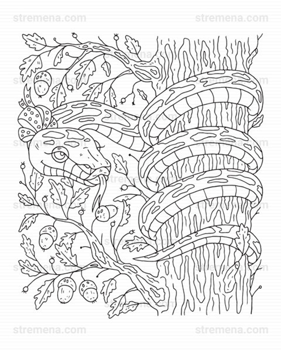 Reptiles Printable Coloring Pages: Snake and Lizard - Etsy
