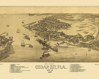 Florida Bird Art - Etsy