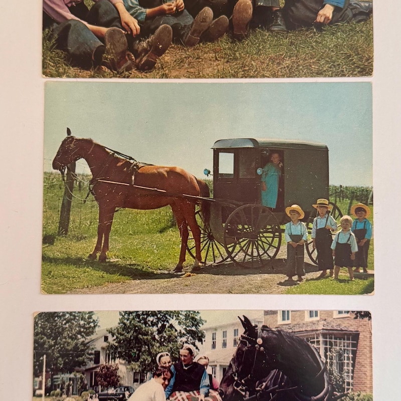 Amish Children - Etsy