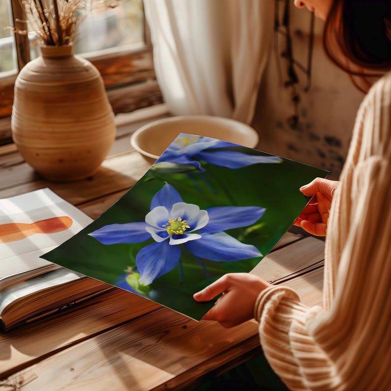 Blue Rocky Mountain Columbine Photo - 5x7, 8x10, or 11x14 Inch Fine Art ...