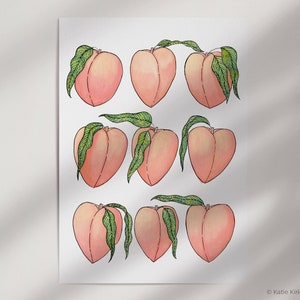 Watercolor and Ink Peaches Illustration - 5x7, 8x10, or 11x14 Inch Fine ...