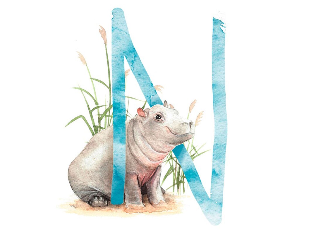 ABC Card N Like Hippo, Letters ABC, ABC Cards - Etsy