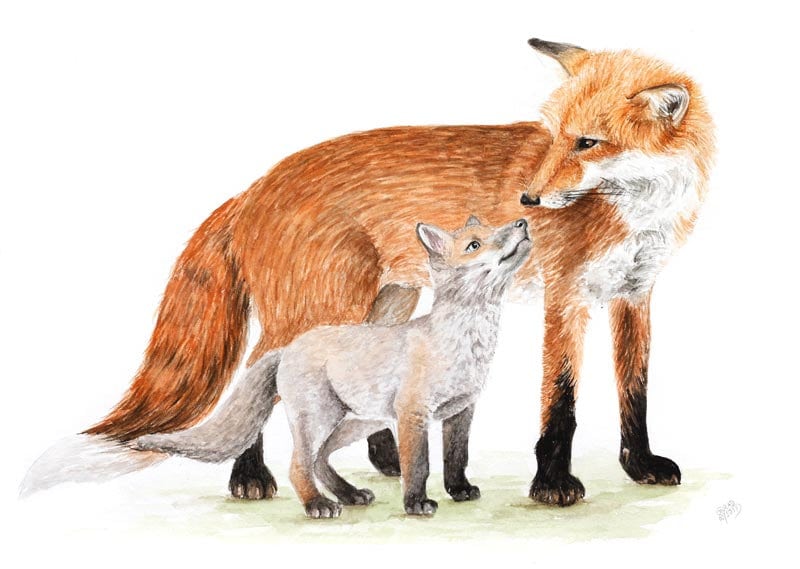 Poster Füchse, Fuchsposter, Din A4 - Etsy.de