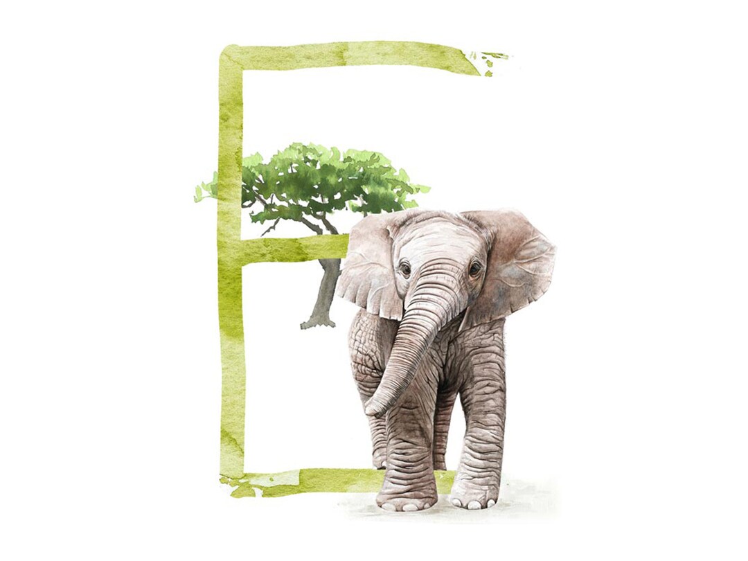 ABC Card E Like Elephant Letters ABC ABC Cards - Etsy