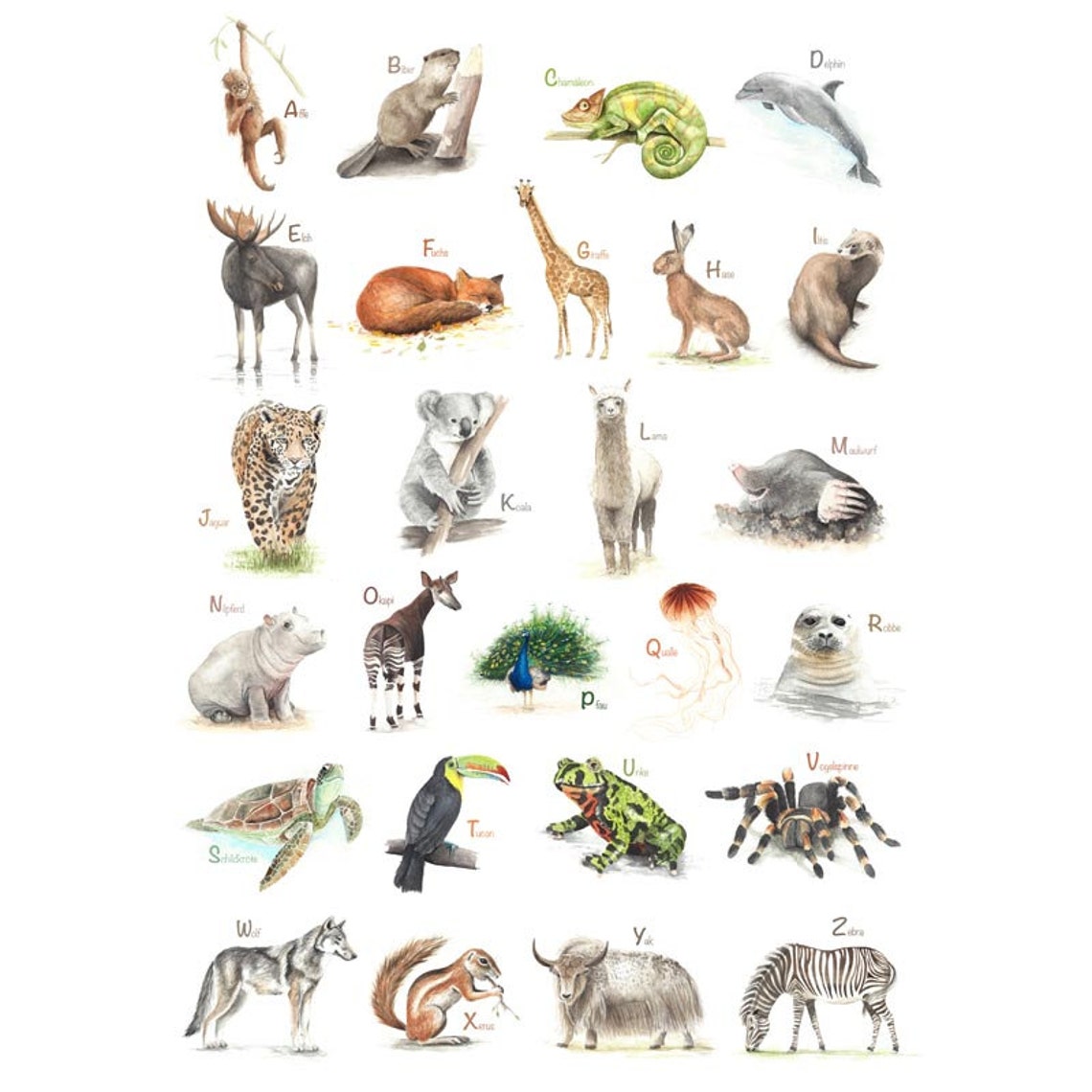 ABC Poster Tiere, Tier Alphabet, Tier ABC, Lernposter - Etsy.de
