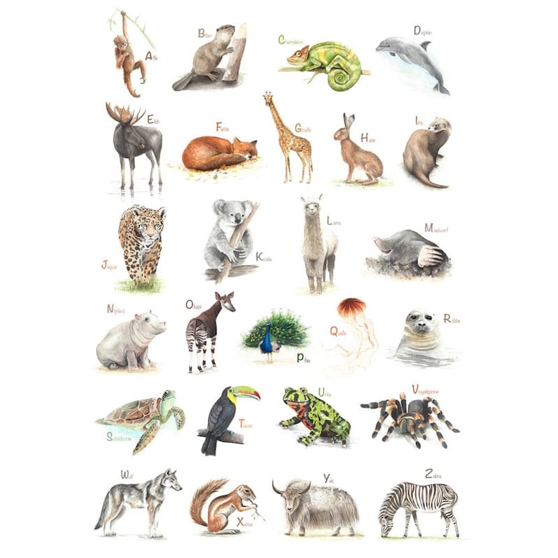 ABC Poster Animals - Etsy