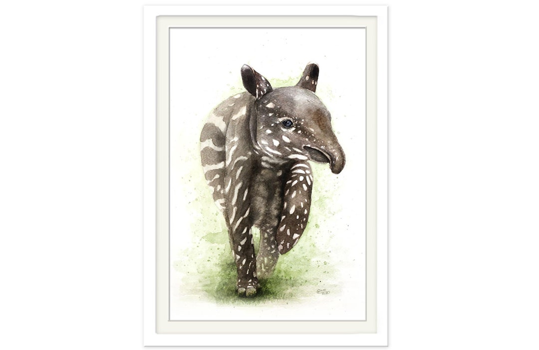Tapir Poster, Tapir, Tapier Baby, Animal Poster - Etsy