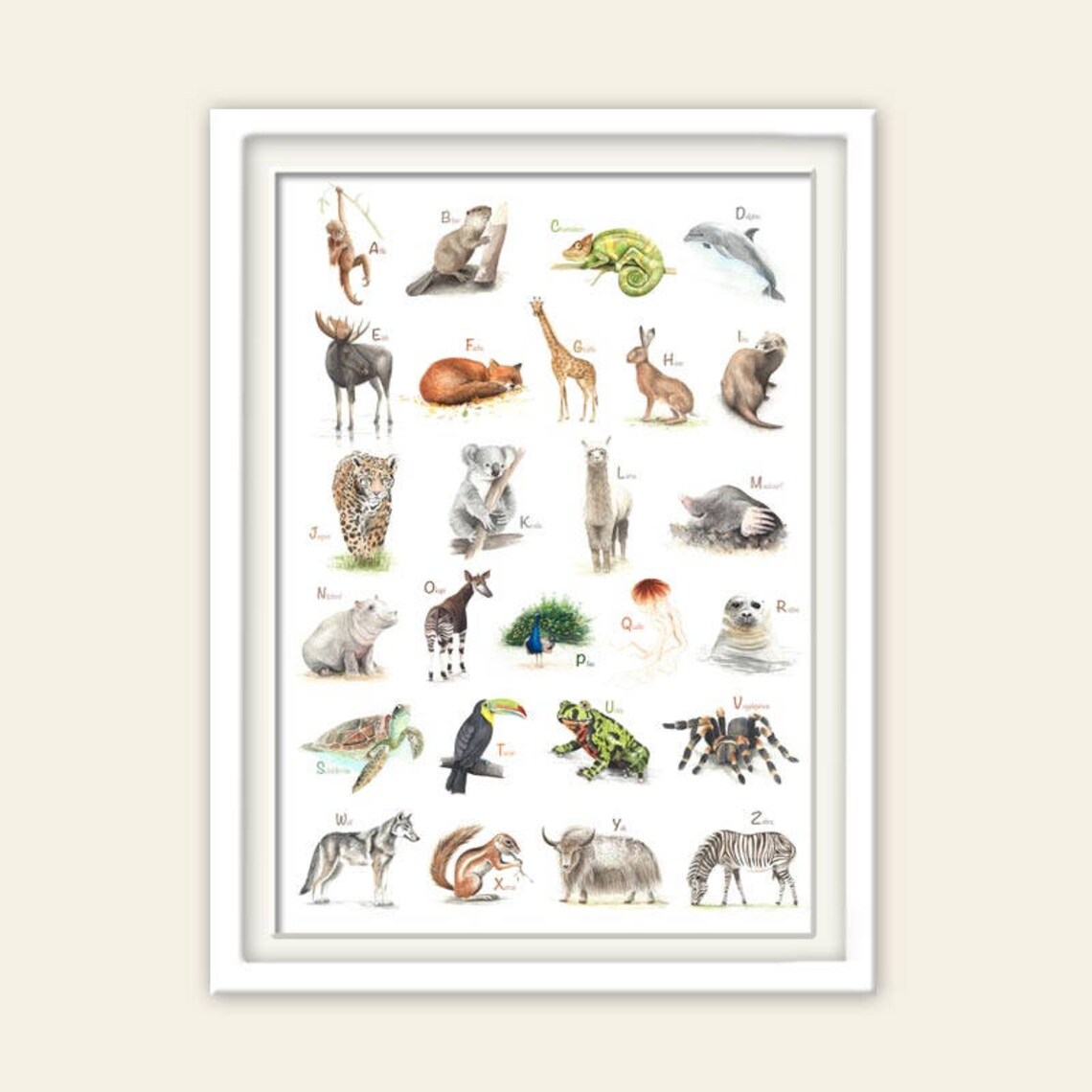 ABC Poster Animals - Etsy