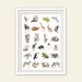 ABC Poster Animals - Etsy