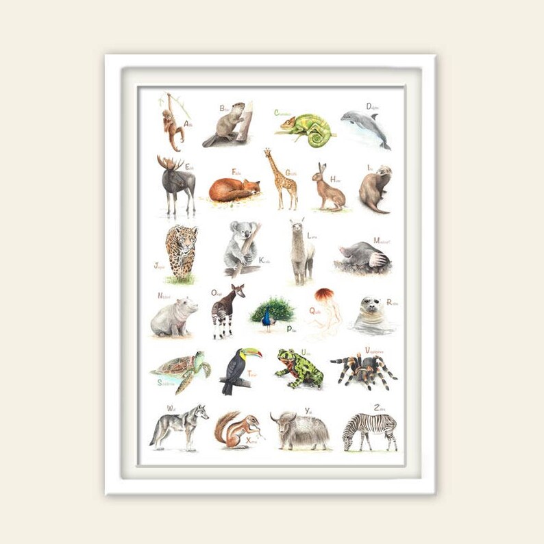 ABC Poster Animals - Etsy