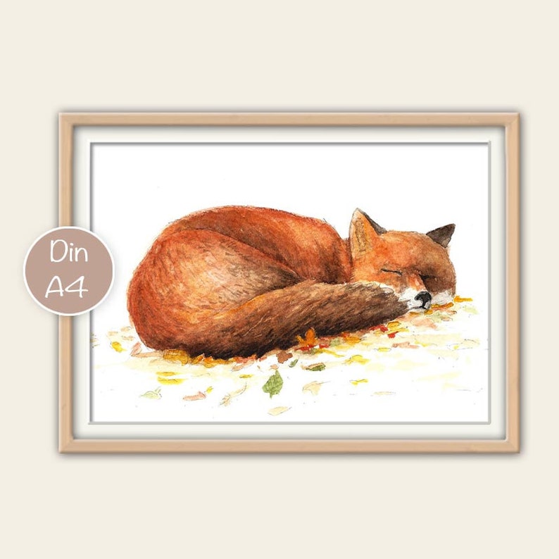 Poster Fuchs, Fuchsposter - Etsy.de