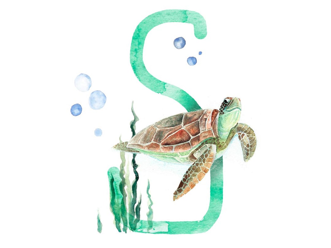 ABC Map S Like Turtle, Letters ABC, ABC Cards - Etsy
