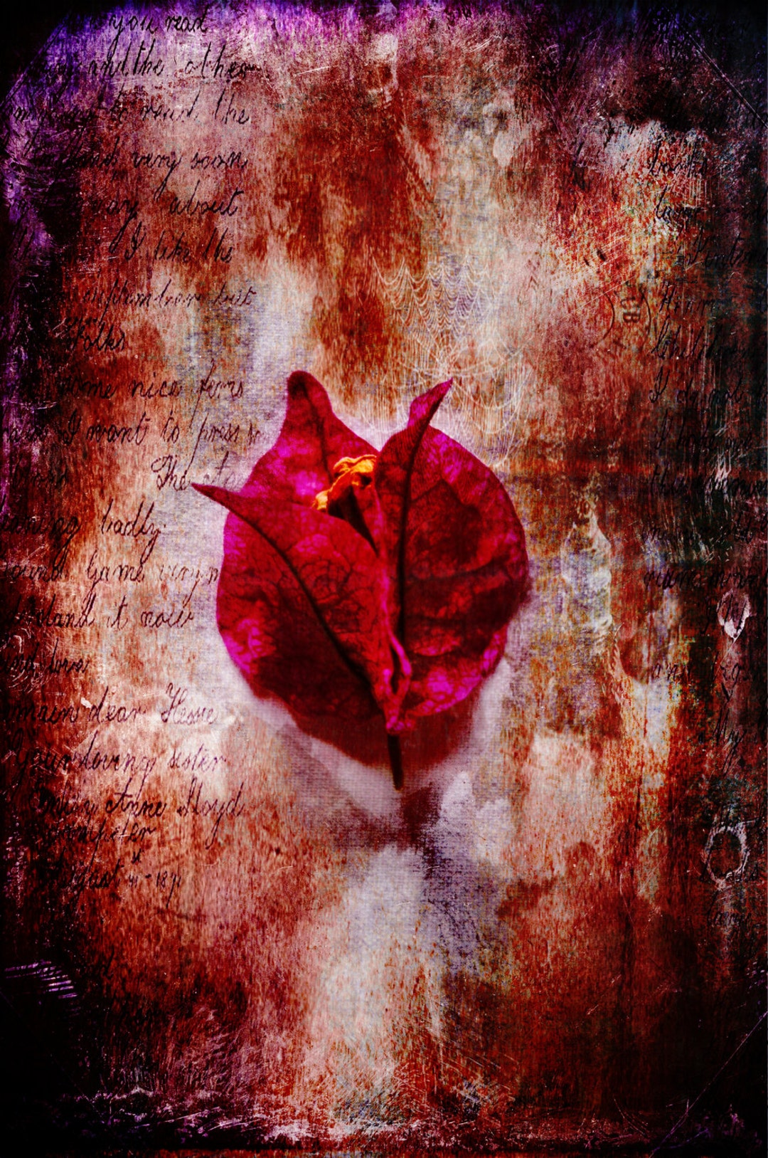 Art Print "solitude" - Signed and Numbered Wall Art From Limited ...