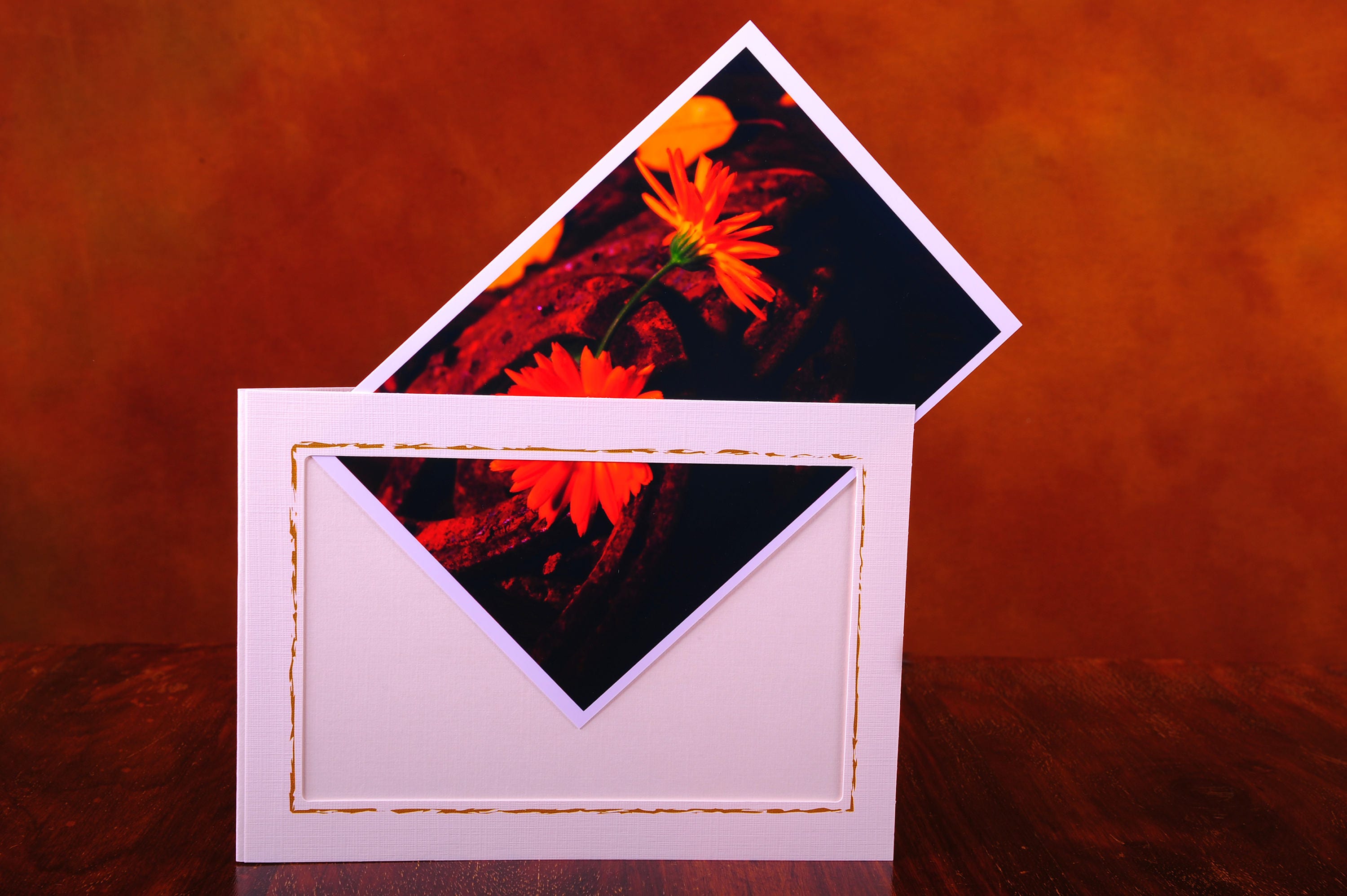 Greeting Cards With Fall Theme Colorful Autumnal Cards - Etsy