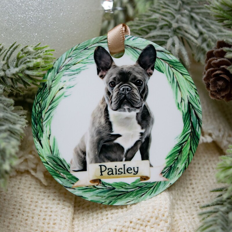 French Bulldog Gifts - 60+ Gift Ideas for 2025