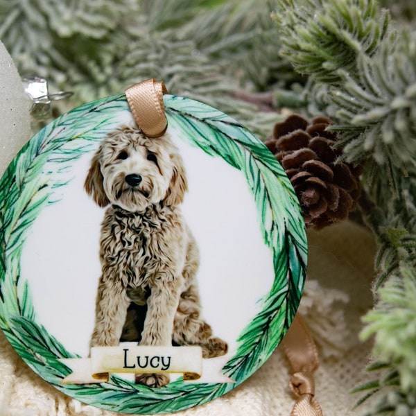 Mini Goldendoodle - Etsy
