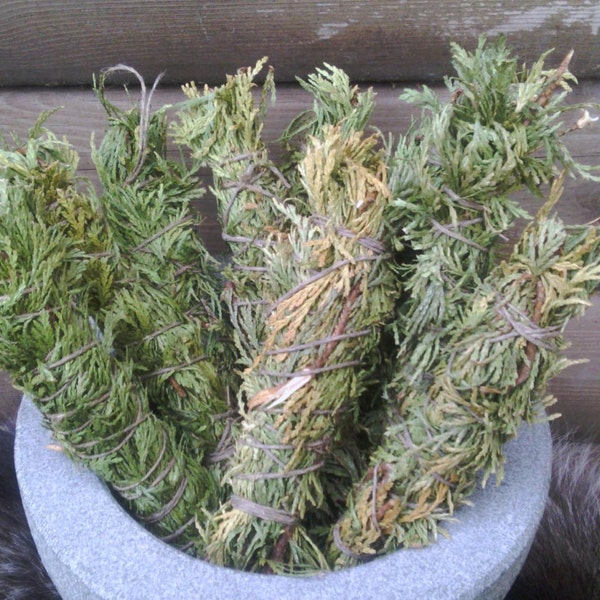 Northern White Cedar - Etsy