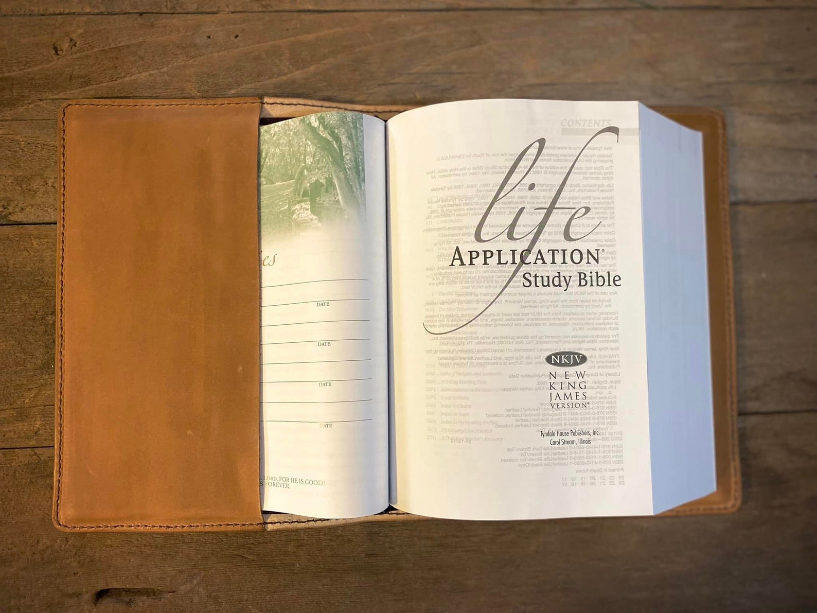 Bible Cover (with Study Bible) - Etsy