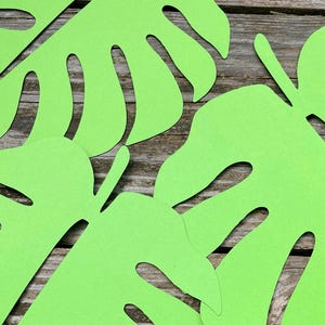 Green Paper Monstera Leaves: Tropical Party Decor, Pack of 5 - Etsy
