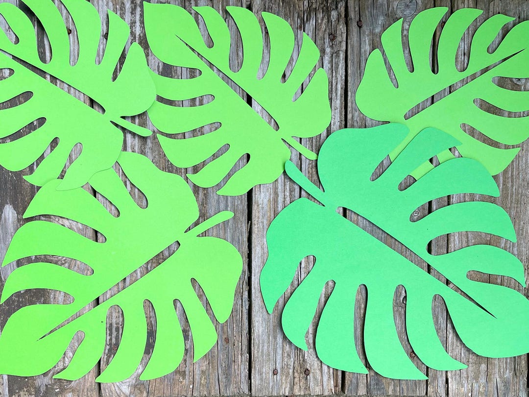 Green Paper Monstera Leaves: Tropical Party Decor, Pack of 5 - Etsy