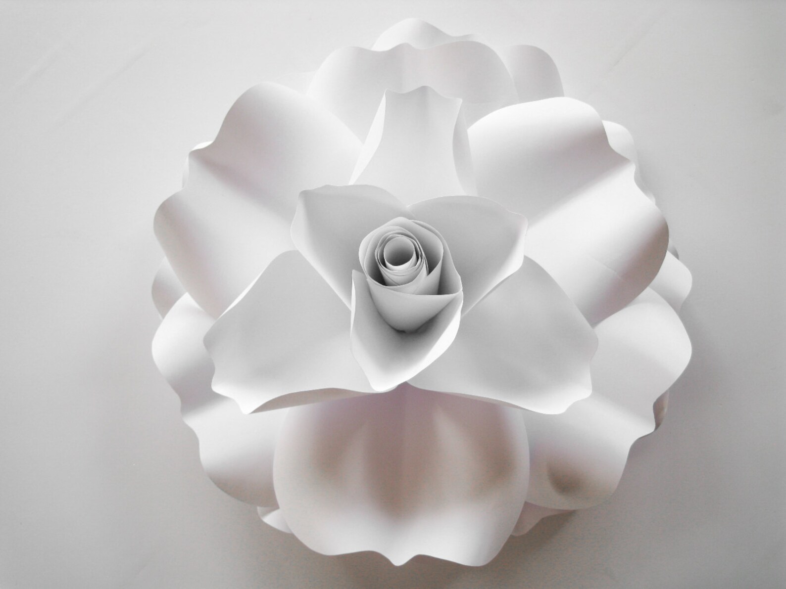 Giant Paper Rose for Wall Decor 13 or 15 Extra - Etsy
