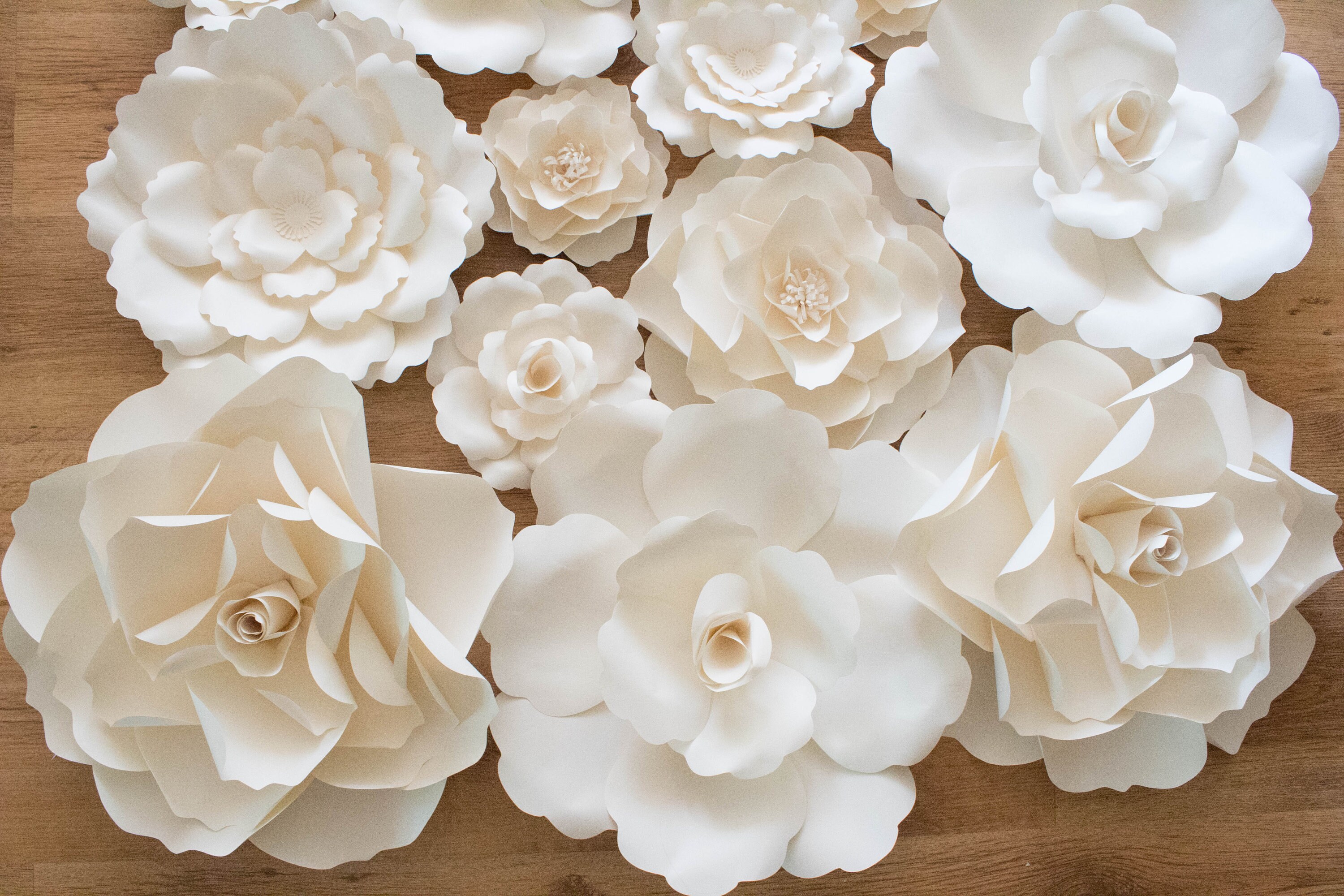 4ftx4ft off White Flower Backdrop Photo Prop Floral Wall | Etsy