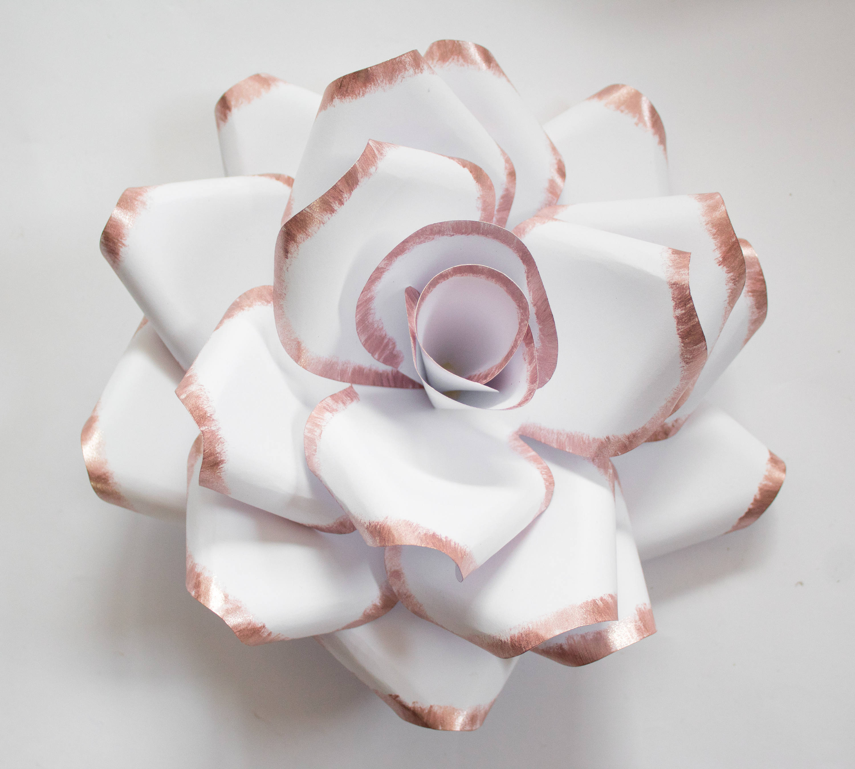 Giant Paper Rose with Rose Gold Flower Blooms Wall Flowers | Etsy