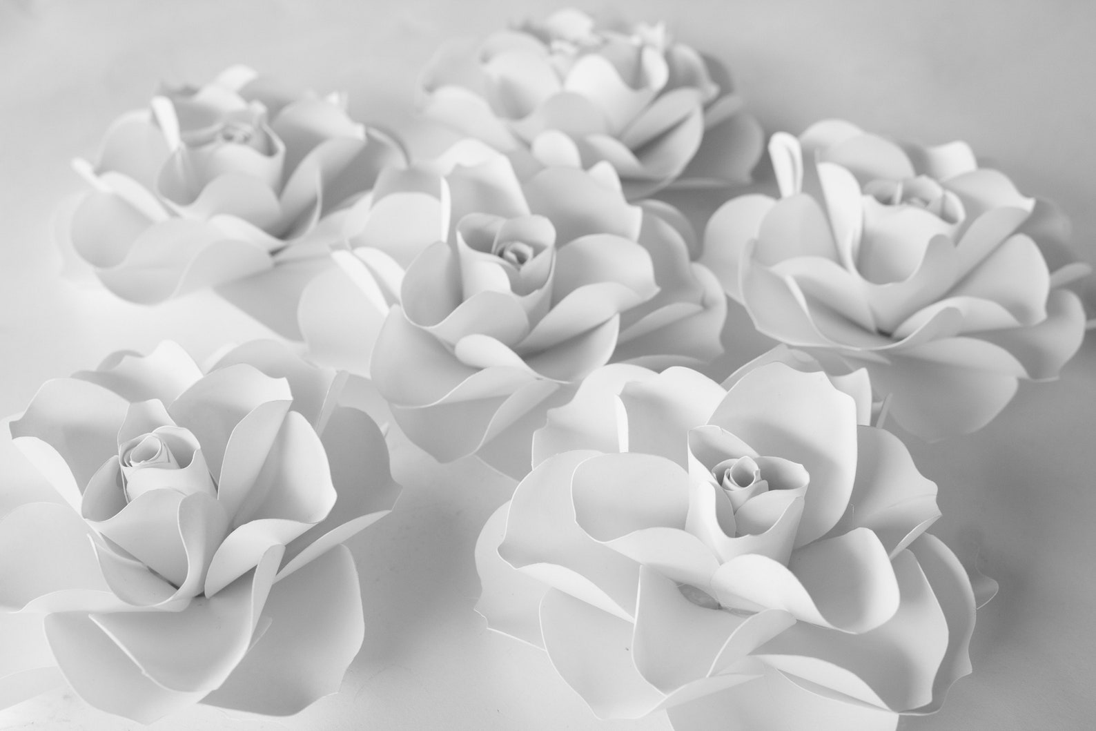 6 White Paper Roses Flower Backdrop Wedding Party Bridal | Etsy