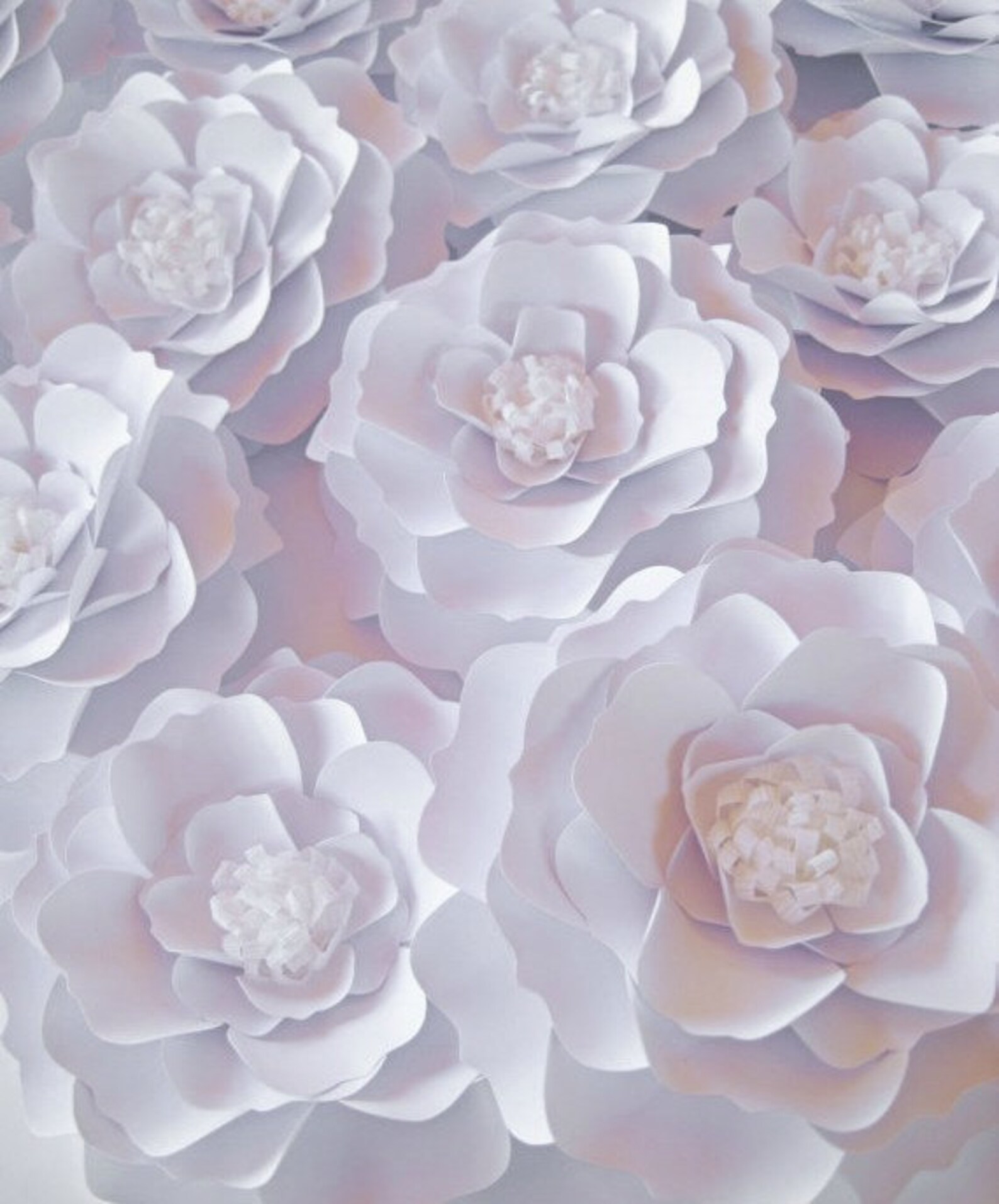 8 Paper Flower Wall Decor Wall Flowers Nursery Flowers - Etsy