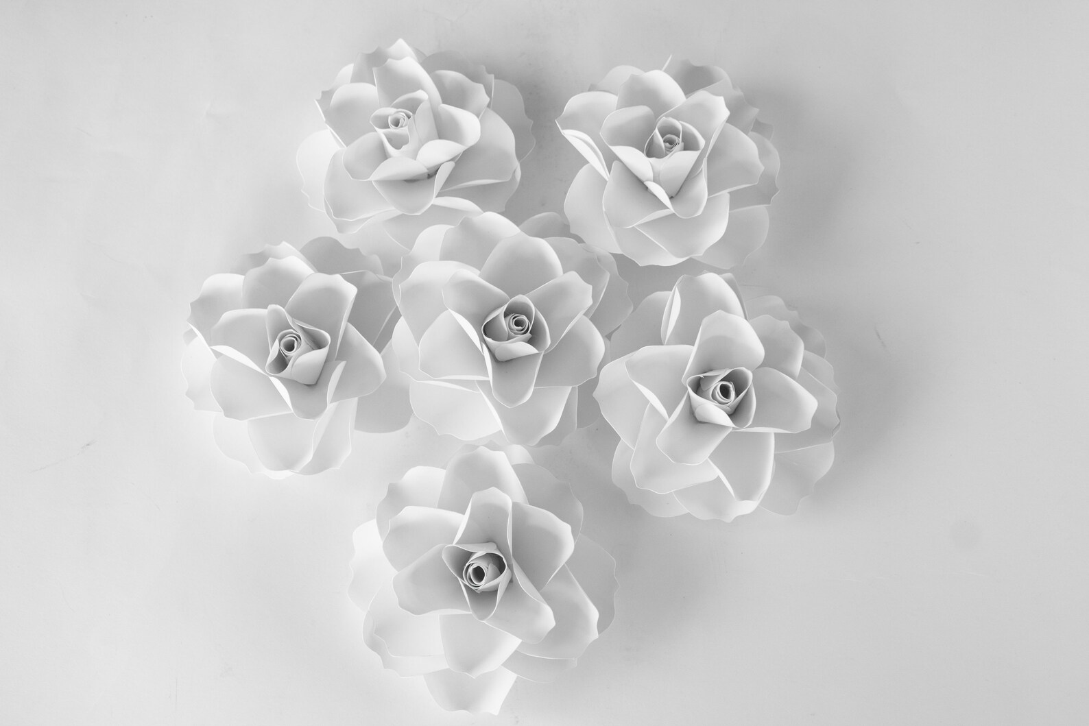 6 White Paper Roses Flower Backdrop Wedding Party Bridal | Etsy