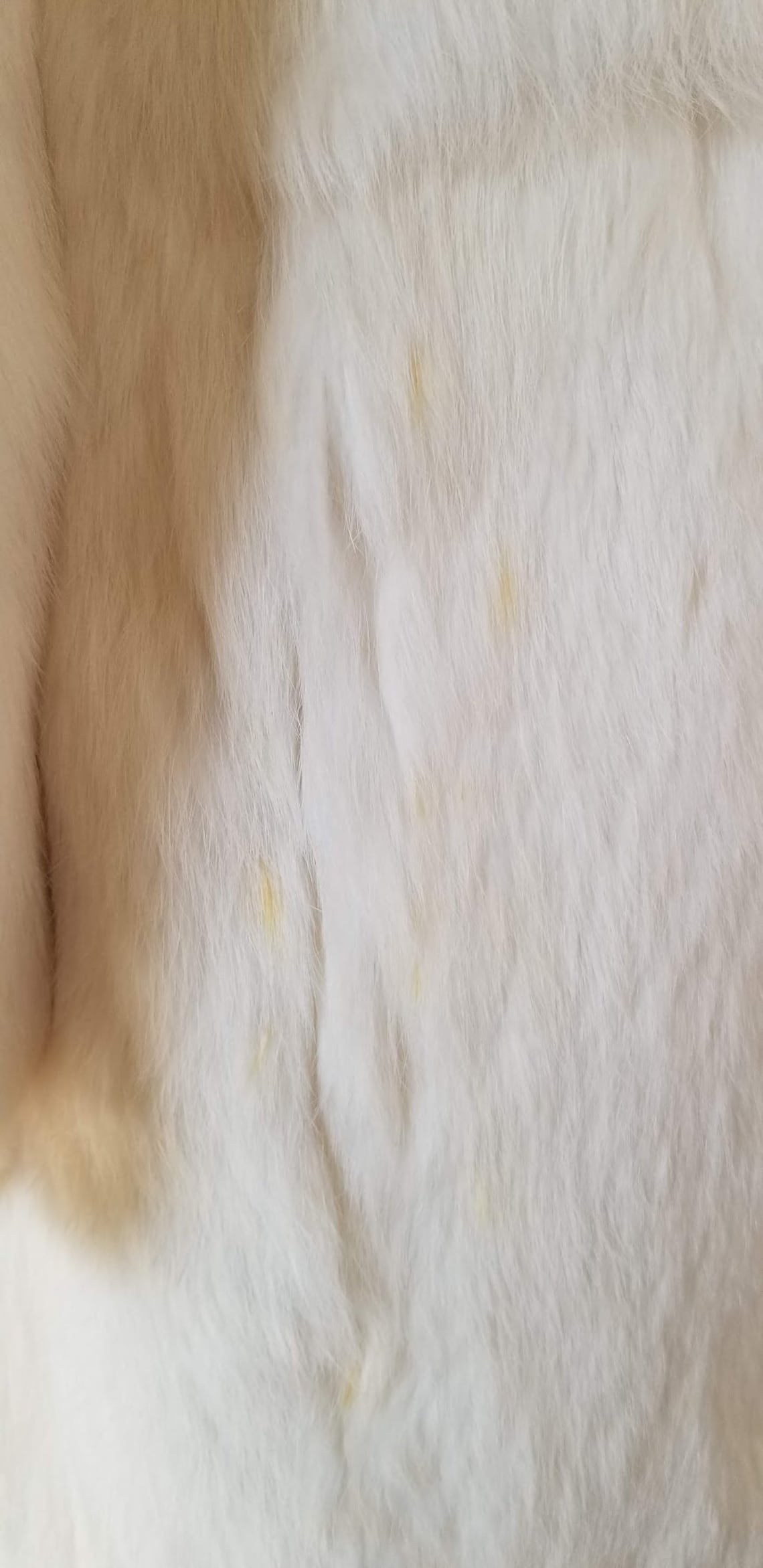 Fox & Rabbit White Fur Coat Stunning Vintage - Etsy