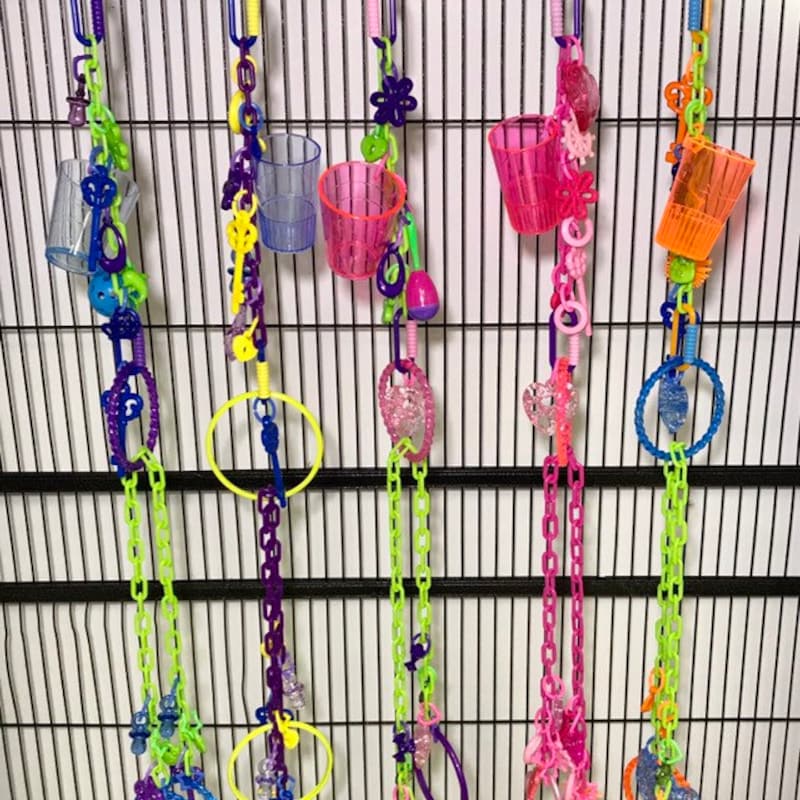 Exotic Animals for Pets - Etsy