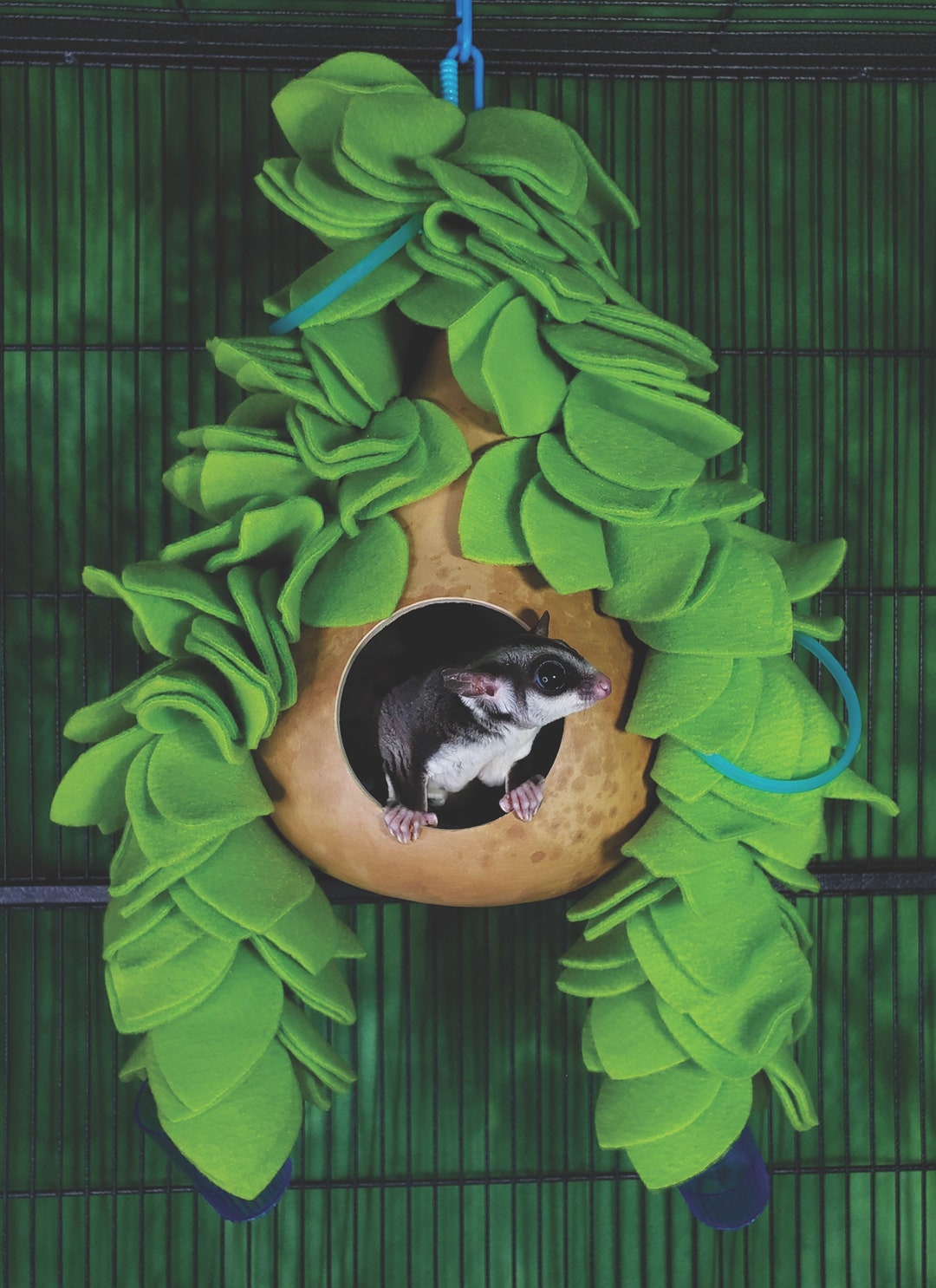 All Natural Sugar Glider Toy - Hanging Gourd With Anti Pill Fleece ...