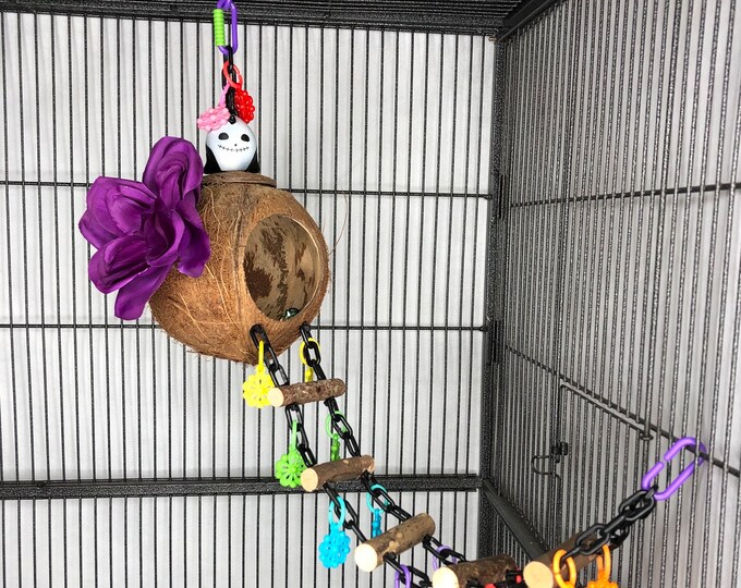 Custom Coconut Cave - Sugar Glider All Natural Toy Hideaway, Hideout ...