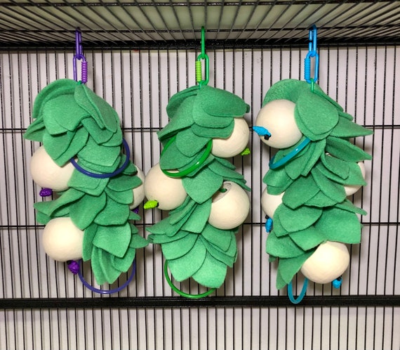 Natural Gourd Cup Forager Sugar Glider Toy Sugar Bear Toy | Etsy